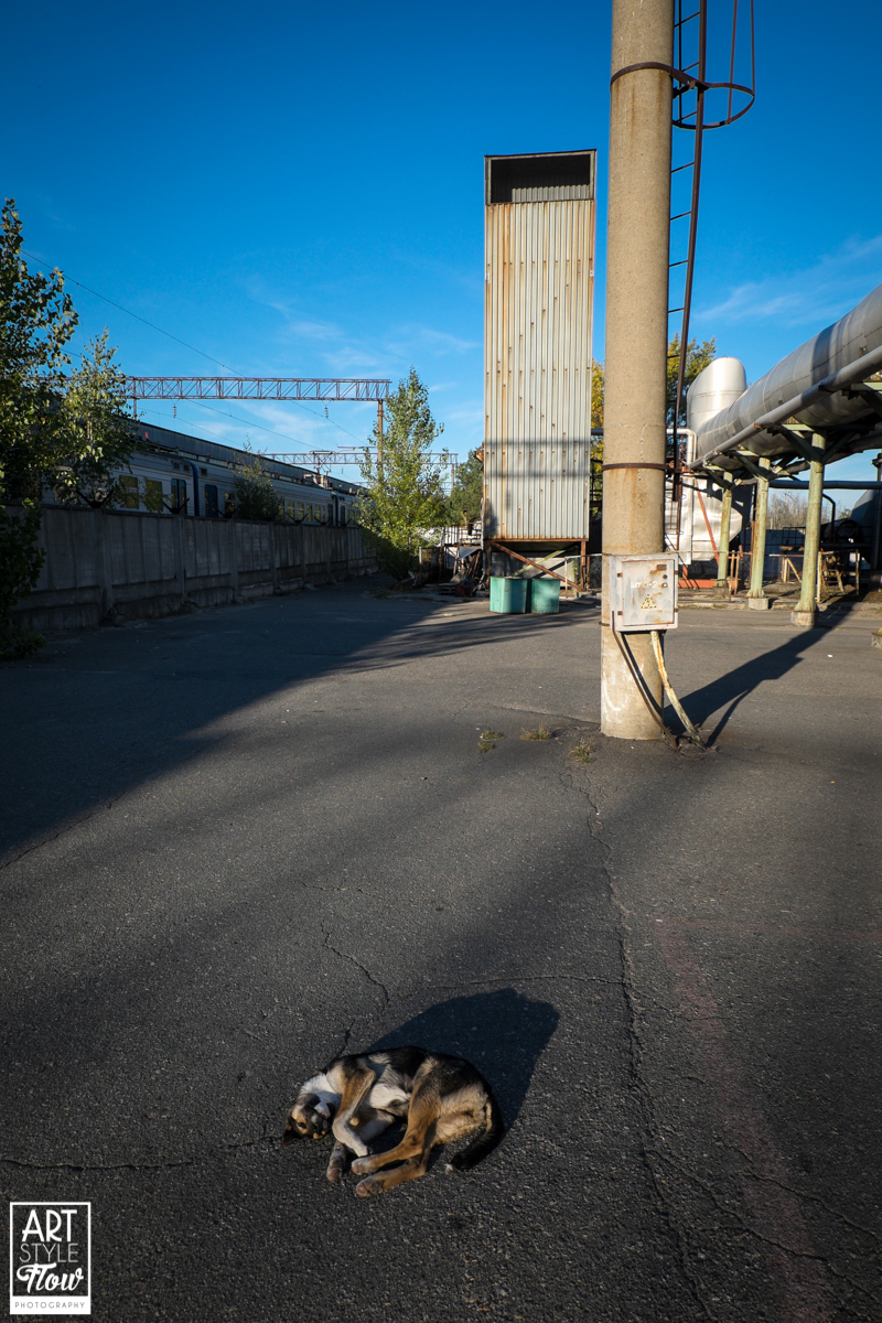 Clean Futures Fund Project number 1833